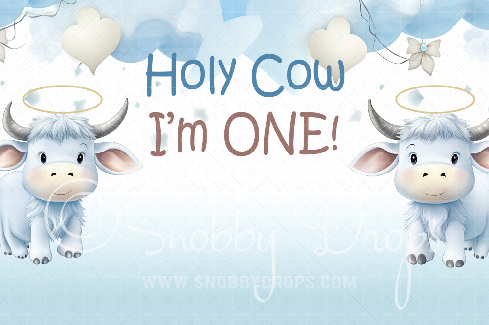 Holy Cow I'm One Cake Smash Fabric Backdrop by Snobby Drops