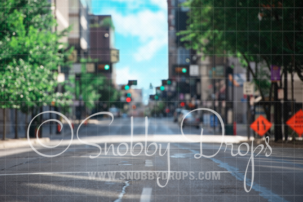 City Street Fabric Backdrop by Snobby Drops
