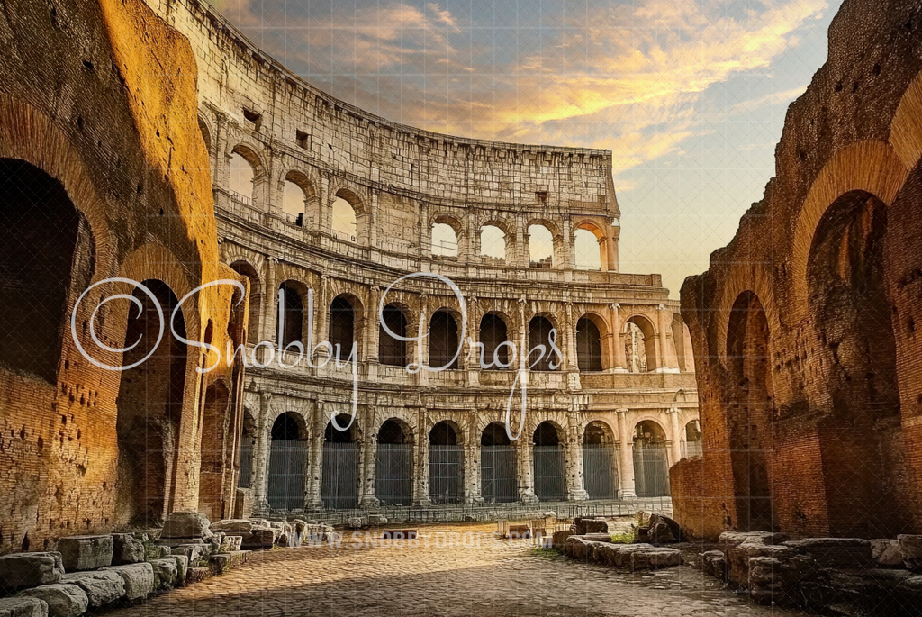 Colosseum Fabric Backdrop DC04 by Snobby Drops USA