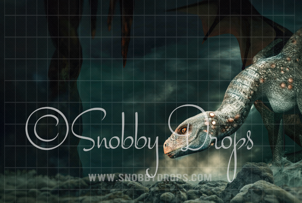 Curious Dragon Fabric Backdrop by Snobby Drops