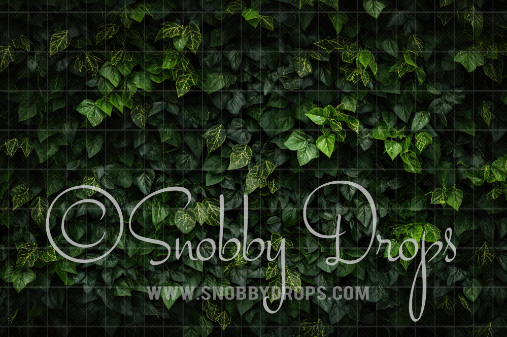Ivy Wall Fabric Backdrop by Snobby Drops