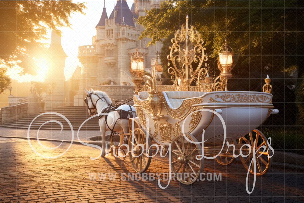 Snobby Drops Magical Princess Carriage at Castle Fabric Backdrop Made