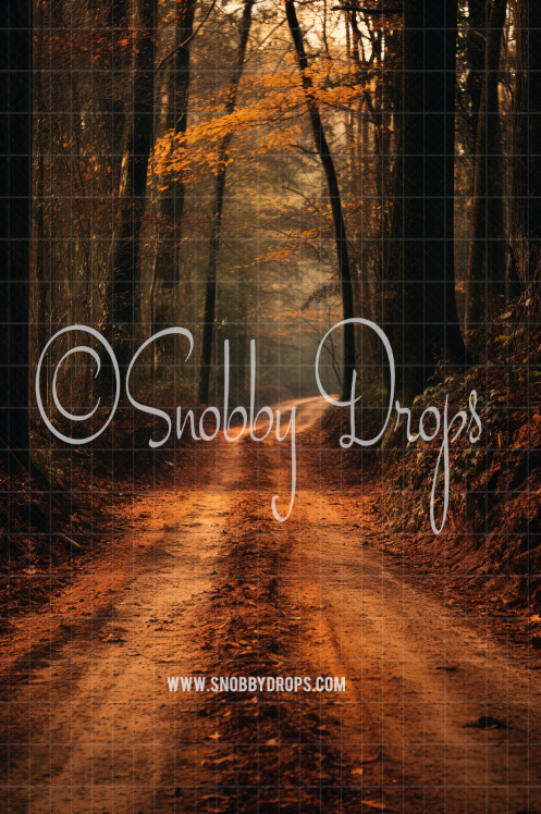 Moody Fall Path Fabric Backdrop Sweep by Snobby Drops