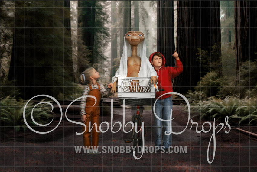 Redwoods Forest Fabric Backdrop by Snobby Drops