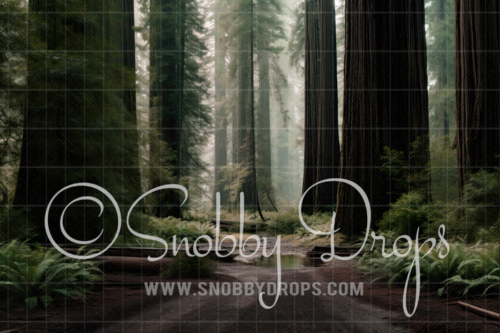 Redwoods Forest Fabric Backdrop by Snobby Drops