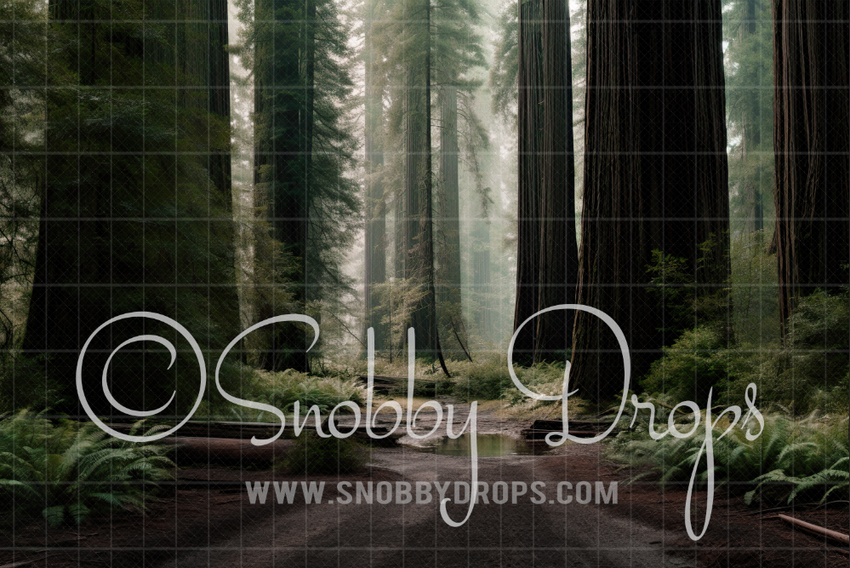 Redwoods Forest Fabric Backdrop by Snobby Drops