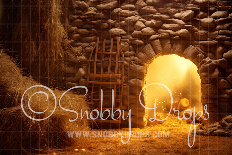 Rumplestiltskin Room Fabric Backdrop by Snobby Drops