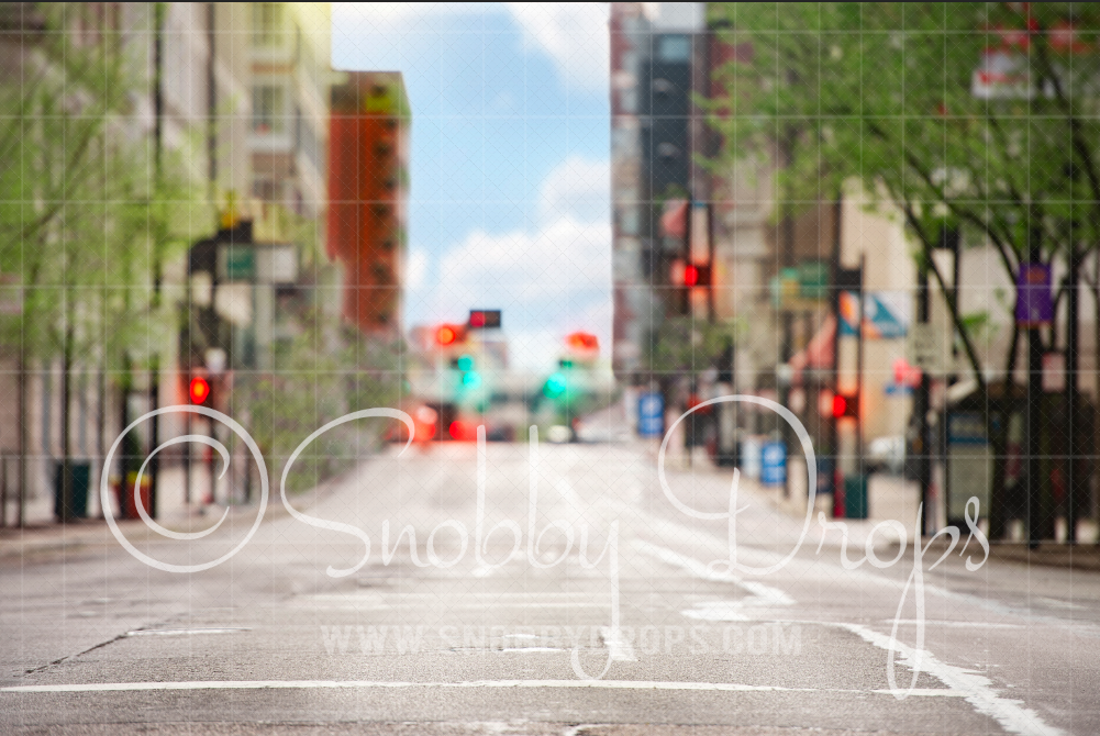 Urban City Street Fabric Backdrop by Snobby Drops